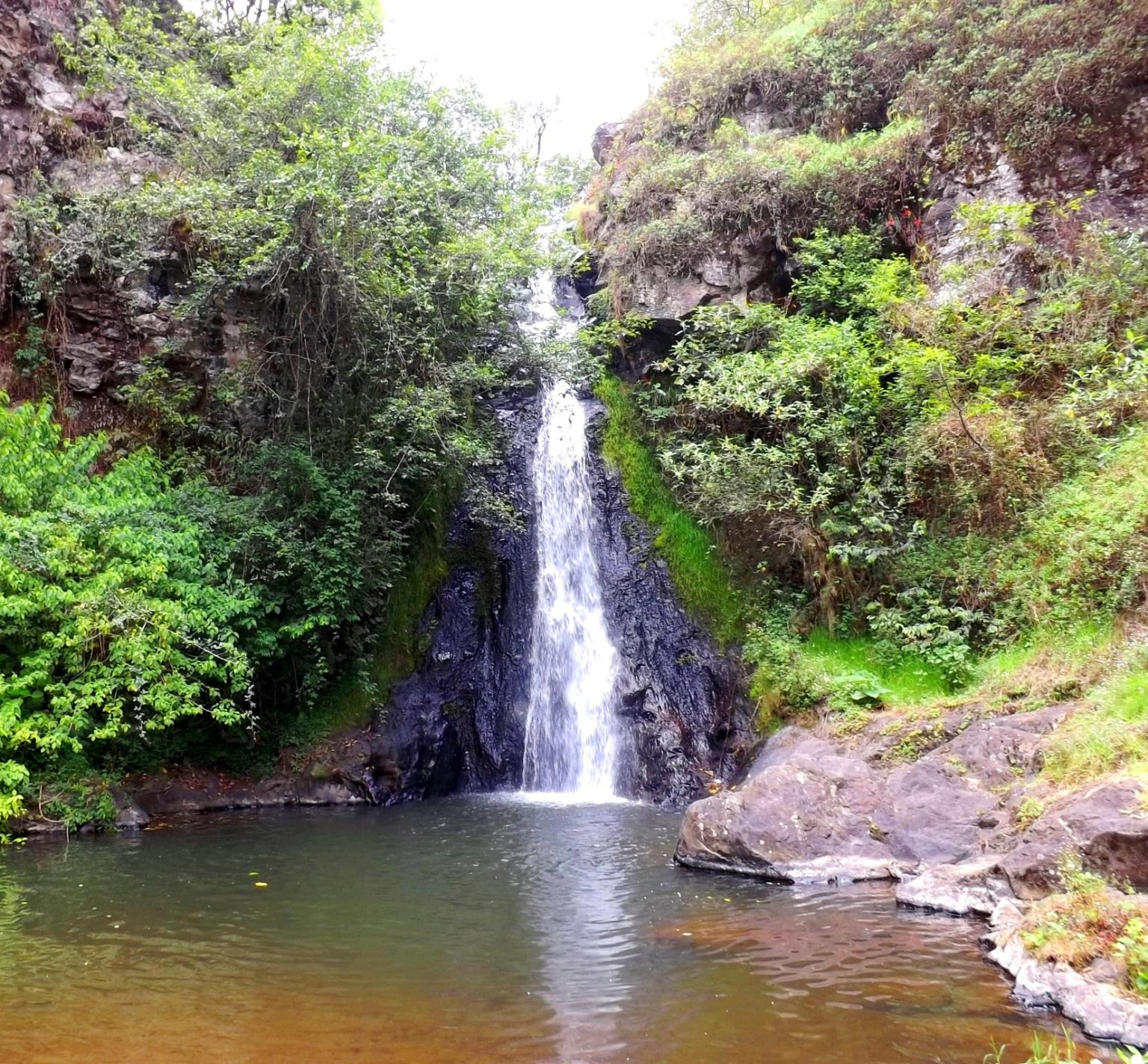 Acaxochitlán Pueblo Mágico: ¿qué hacer?