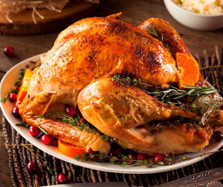 Día de Acción de Gracias: Conoce los datos curiosos de los pavos
