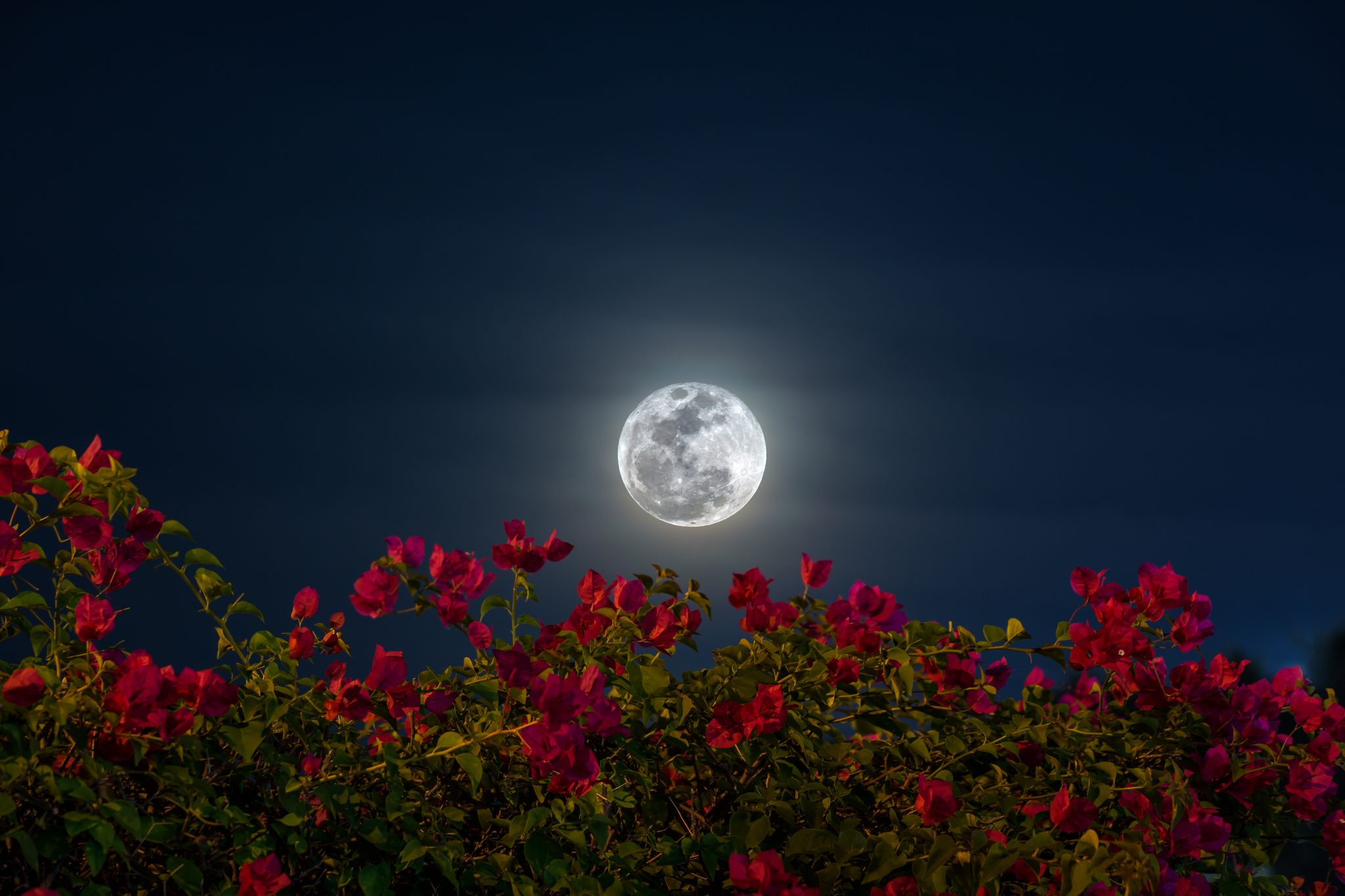Luna de las Flores 2025: origen, horario y cómo verla en México